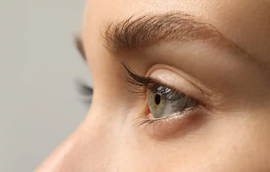 Eyelid - Illinois Eye Center